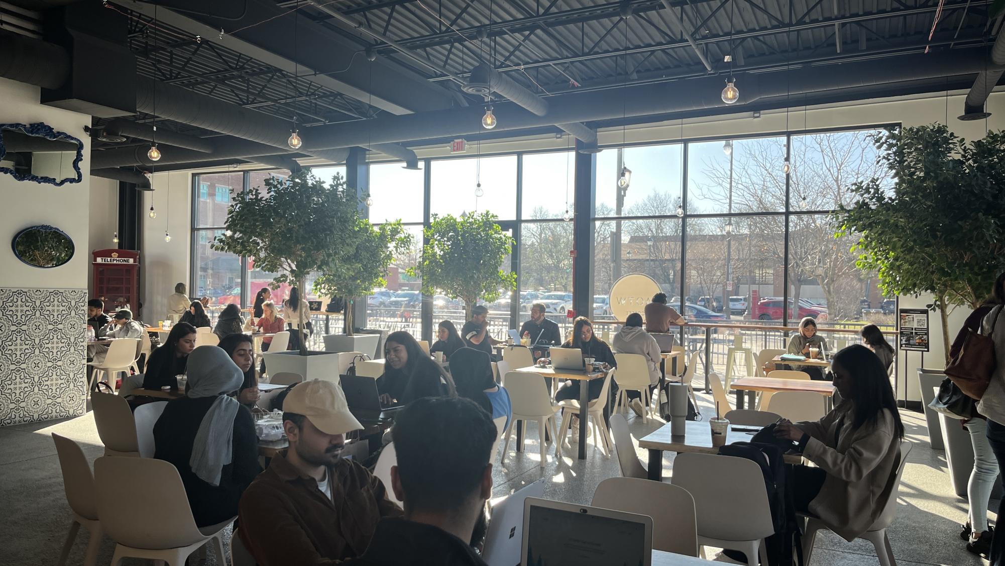 MOTW: Lombard’s new coffee hang-out spot – Echo